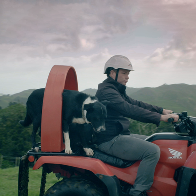 QuadGuard - CPD | TRAX Equipment